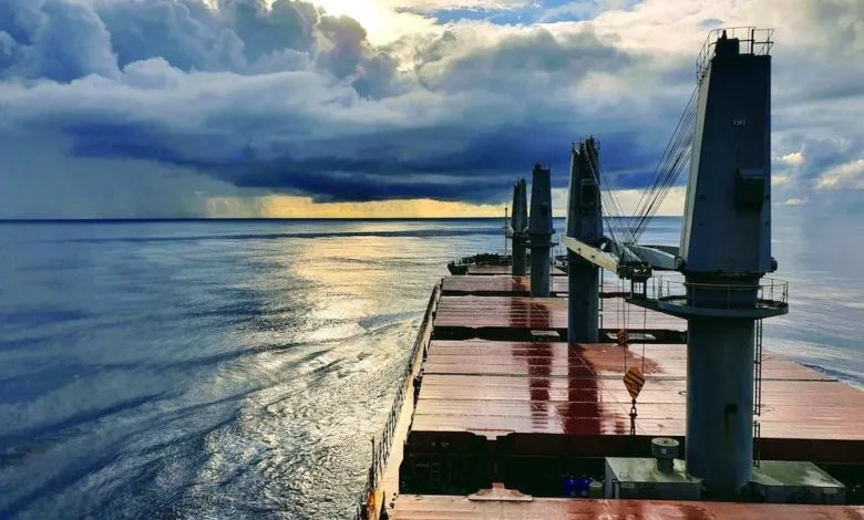 AK Shipping snaps up handy bulker - Explore the Latest Shipping News ...